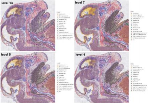 BSTMatrix v2.3.R环境搭建、安装及使用说明 – 百创智造
