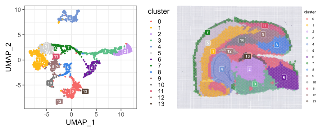 Bmk_Space_mapping.R 操作说明 – 百创智造