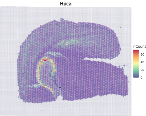 Bmk_Space_mapping.R 操作说明 – 百创智造