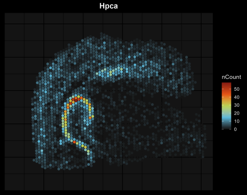 Bmk_Space_mapping.R 操作说明 – 百创智造