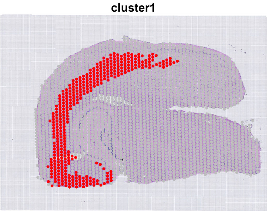Bmk_Space_mapping.R Operating Process – 百创智造